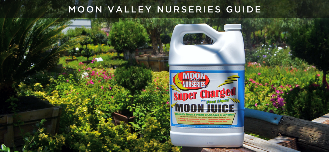 Moon Valley Nurseries Guide: Super Charged Moon Juice