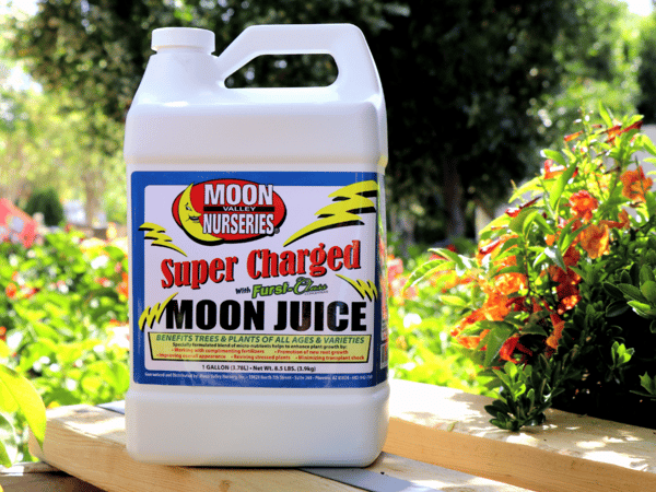Moon Valley Nurseries Guide: Super Charged Moon Juice
