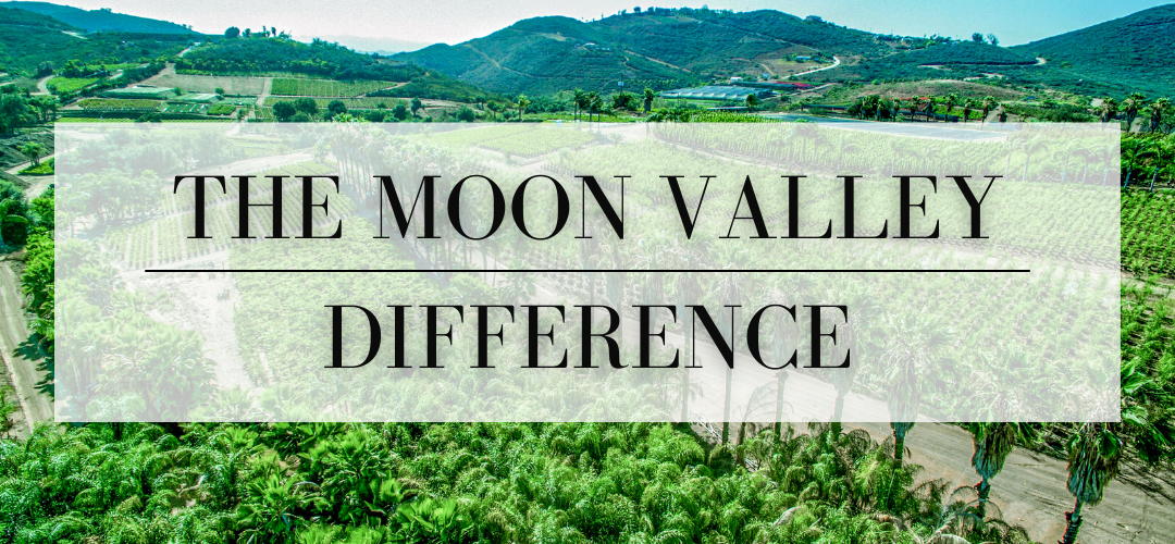 THE MOON VALLEY DIFFERENCE