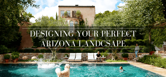 THE COMPLETE HOW-TO GUIDE ON DESIGNING YOUR PERFECT ARIZONA LANDSCAPE