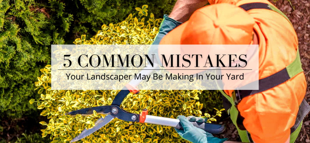 5 COMMON MISTAKES YOUR LANDSCAPER MAY BE MAKING IN YOUR YARD