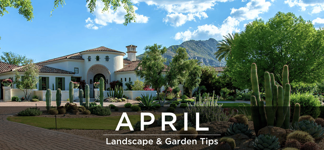 April Landscape & Garden Tips For Spring 2023