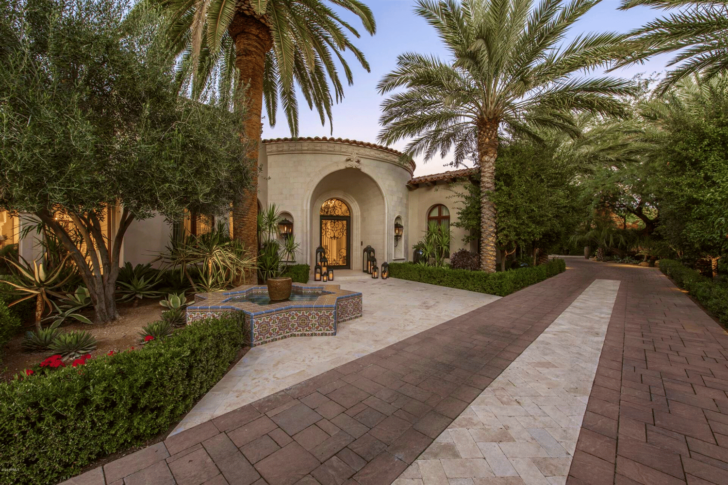 The Olive Tree: A Hardy Evergreen Tree for Shade & Classic Style