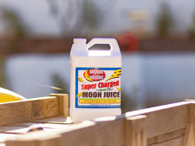 The Green Thumb Guide: Moon Valley Nurseries’ Super Charged Moon Juice™