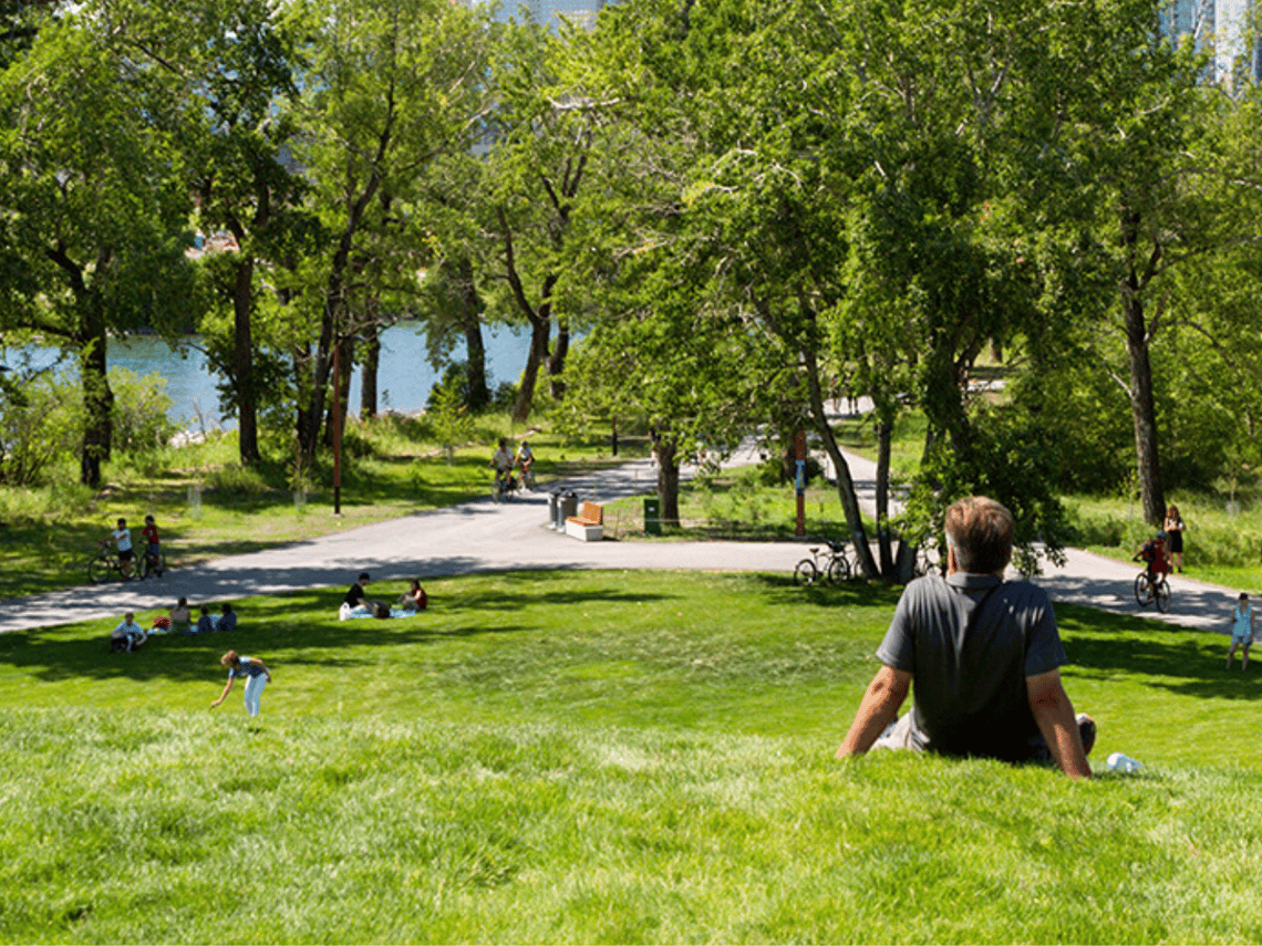 UTILIZING GROUPS OF TREES IN YOUR LANDSCAPE STYLE