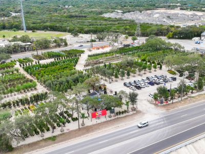 The Green Thumb Guide: Moon Valley Nurseries’ Super Charged Moon Juice™