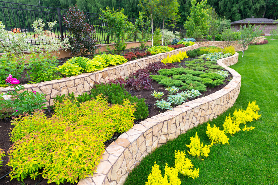 Pro Tips to Create a Layered Landscape