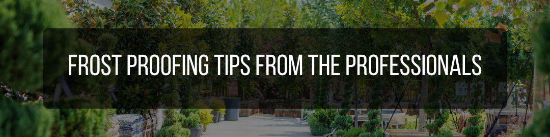 Your Guide to Total Frost Care in Texas