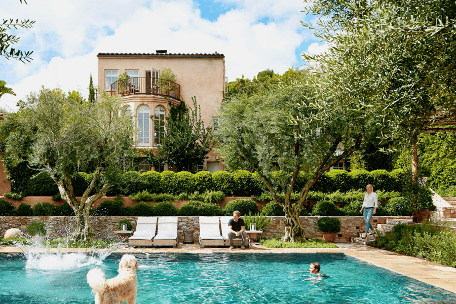 The Olive Tree: A Hardy Evergreen Tree for Shade & Classic Style