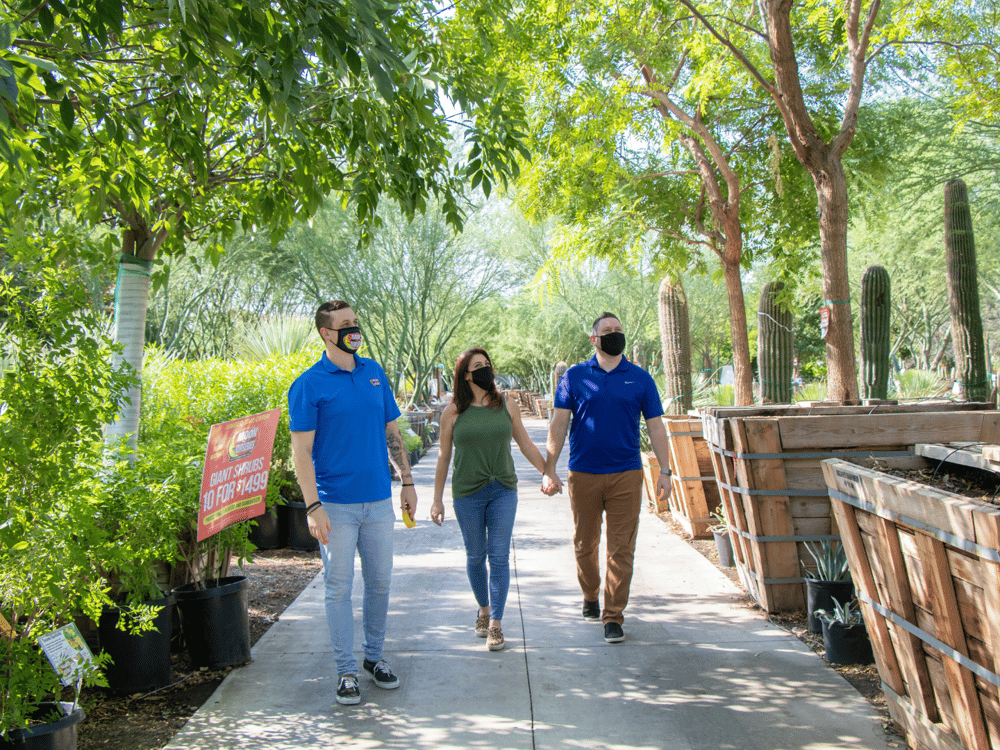 FROM SEED TO TREE: EXPERIENCE THE MOON VALLEY DIFFERENCE