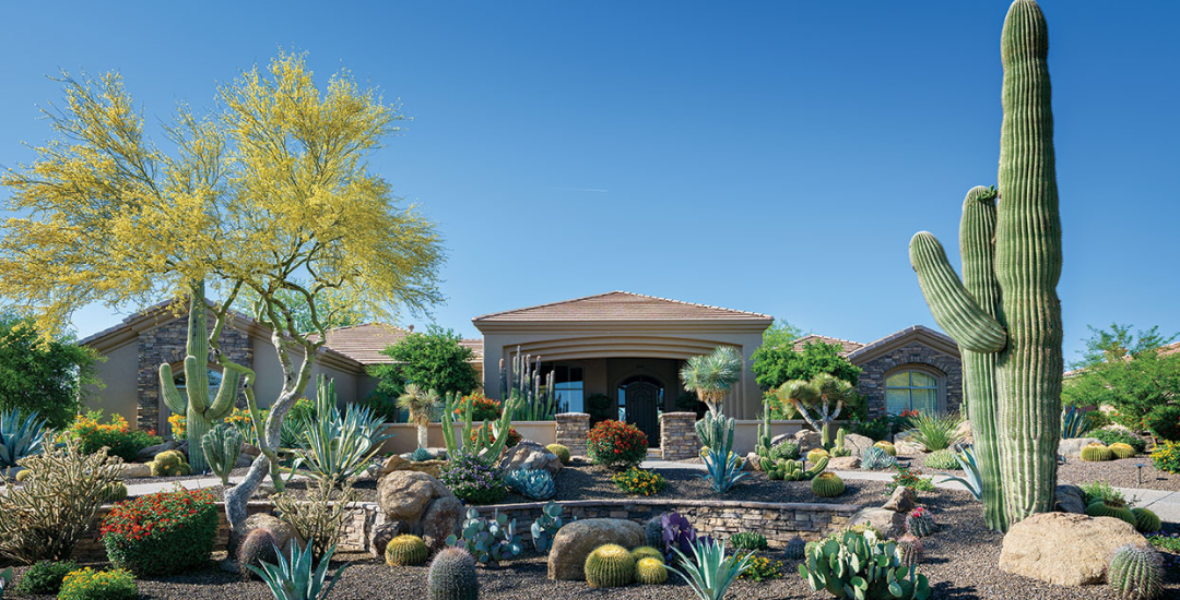 Xeriscape 101: Your Guide to Drought-Tolerant Landscaping in 2022