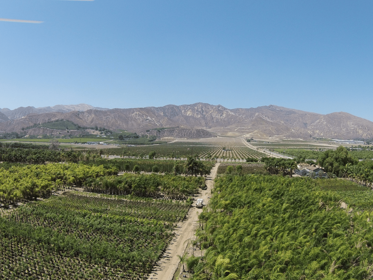 FROM SEED TO TREE: EXPERIENCE THE MOON VALLEY DIFFERENCE