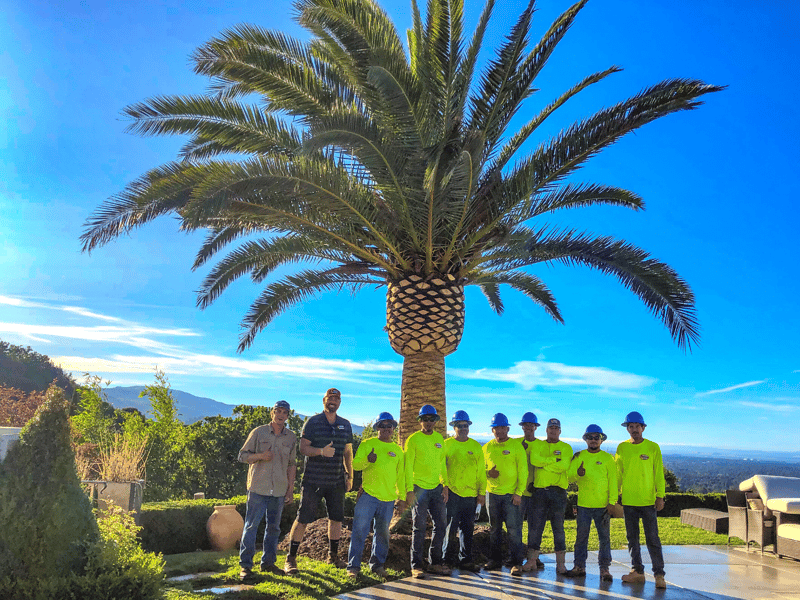 THE MOON VALLEY DIFFERENCE