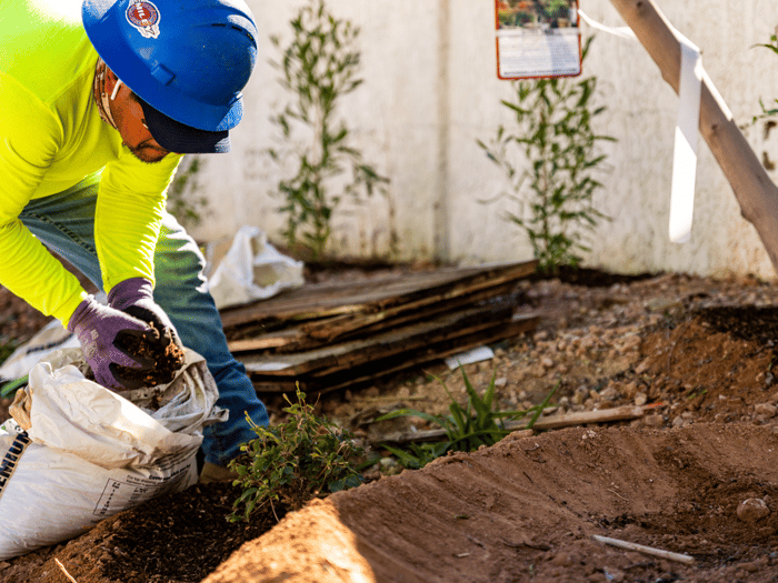 July Landscape & Garden Tips