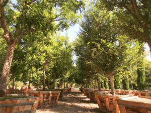 April Landscape & Garden Tips For Spring 2024