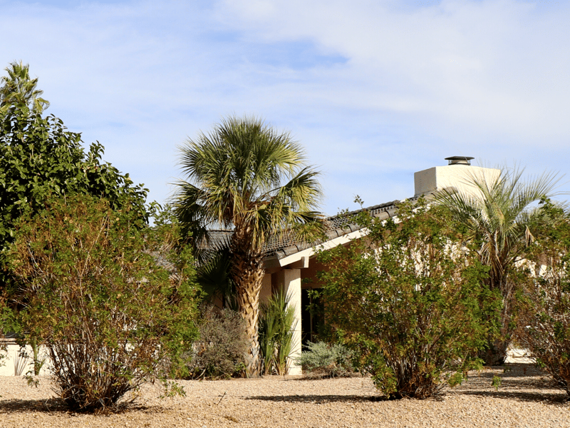 5 BAD HABITS WE SEE IN LANDSCAPE DESIGN