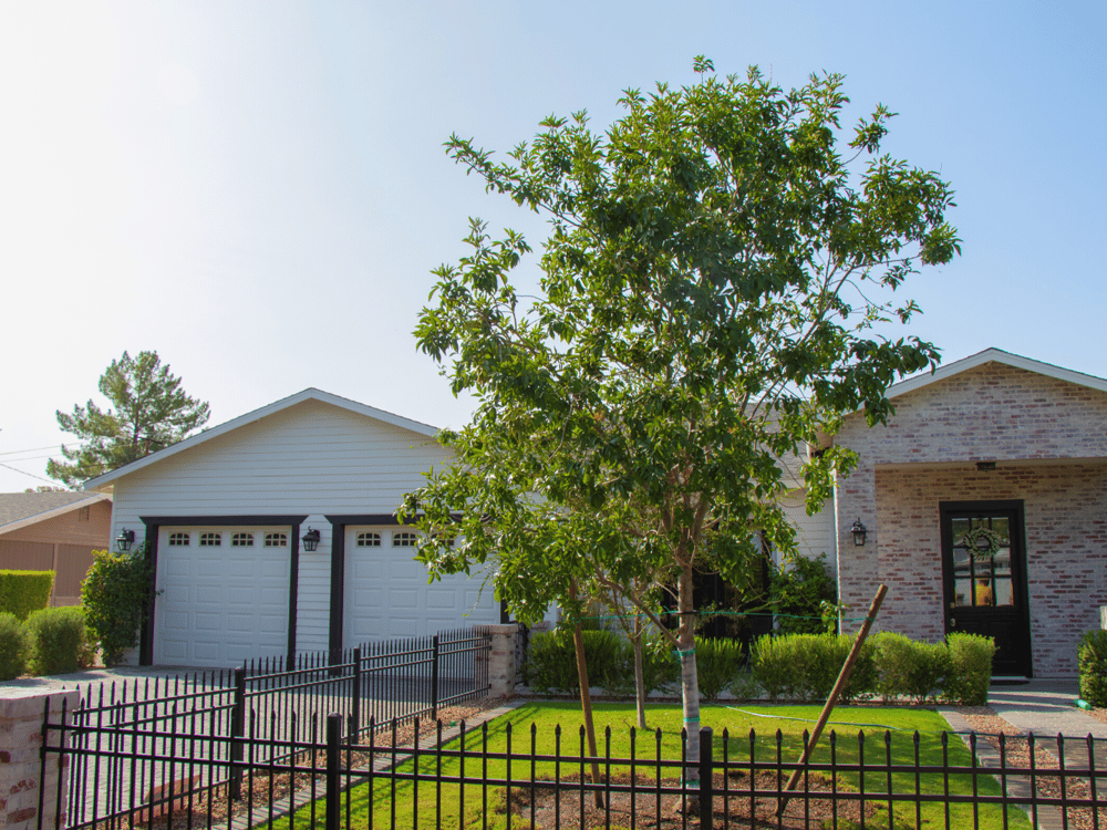 THE BEST LANDSCAPE FINANCING OPTION IN ARIZONA