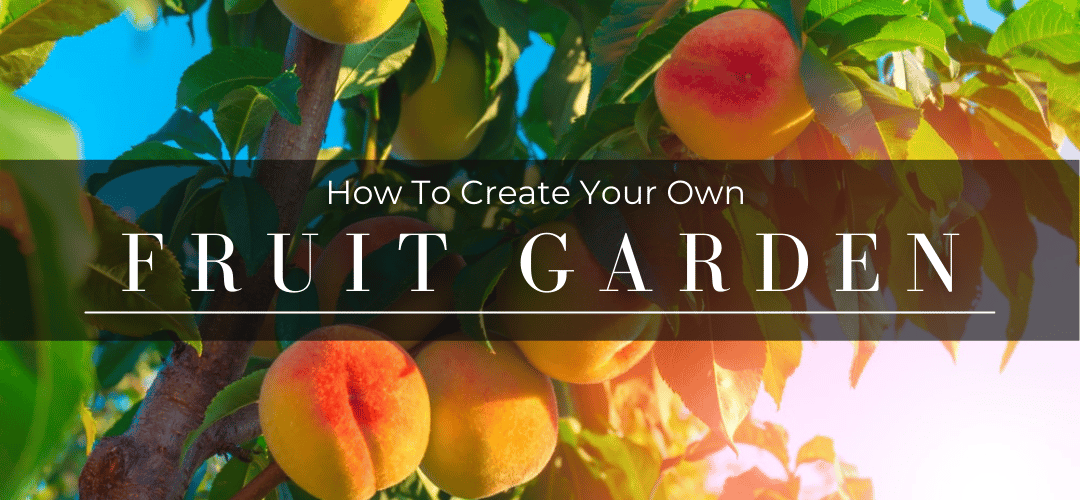 Create Your Own Fruit Garden