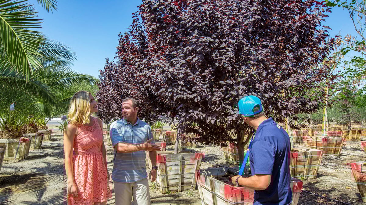 Moon Valley Nurseries: Why Choose Us