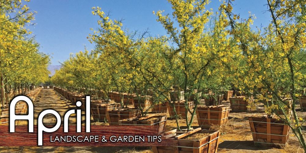 April Landscape & Garden Tips