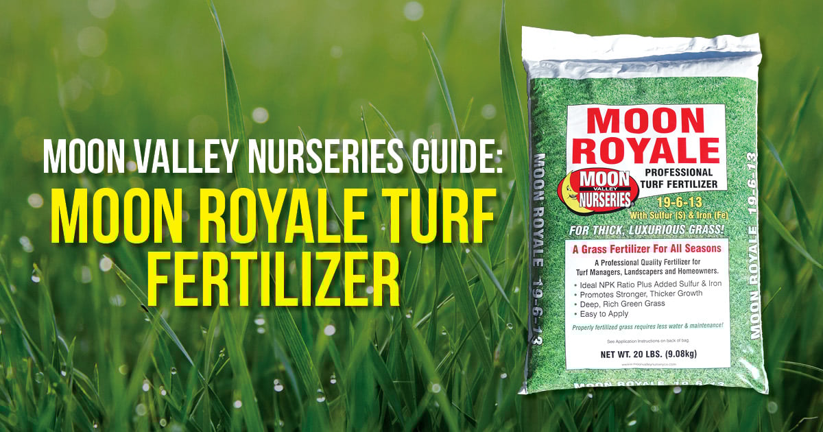 Moon Valley Nurseries Guide: Moon Royale Turf Fertilizer