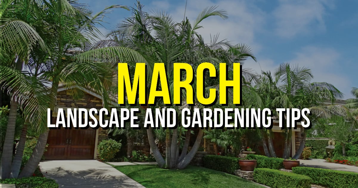 March Landscape and Gardening Tips [Updated]