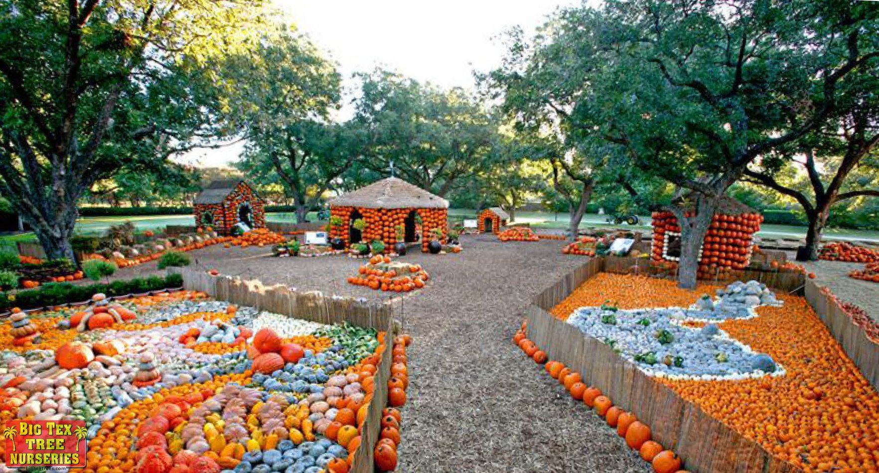 OCTOBER LANDSCAPE AND GARDEN TIPS 2017