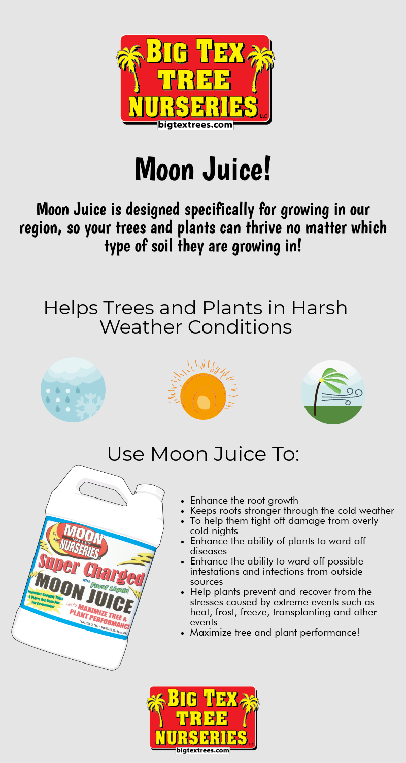 MOON JUICE TO THE RESCUE