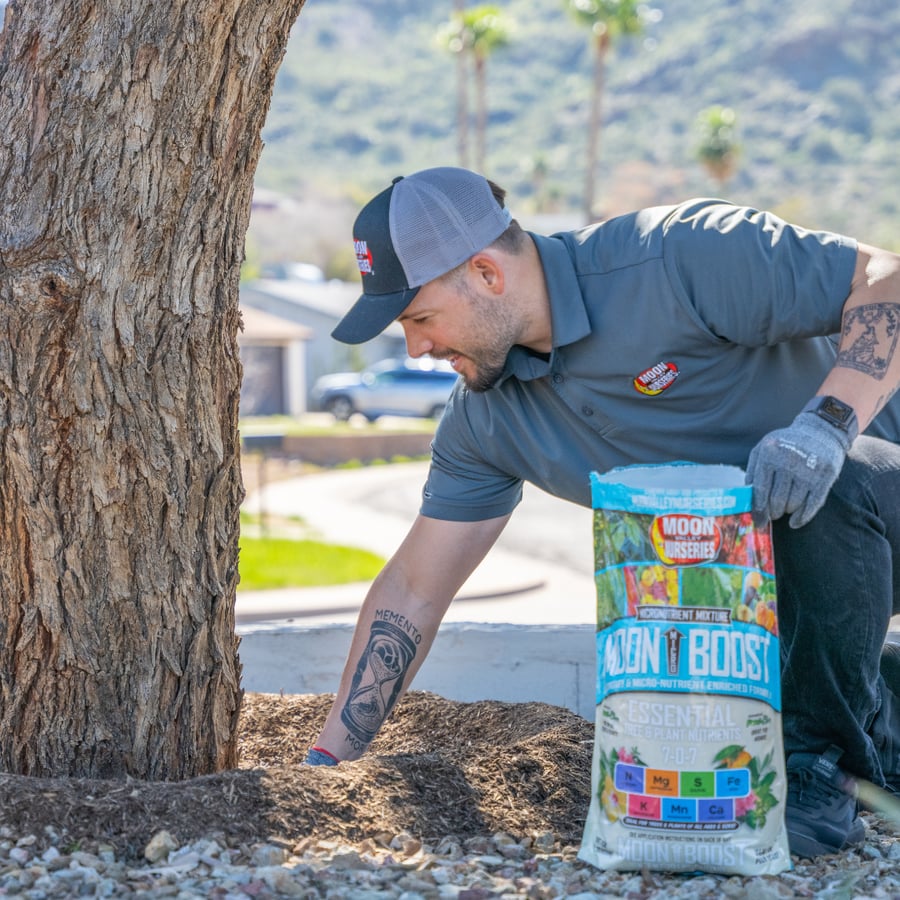 January Landscape and Garden Tips - Updated 2026