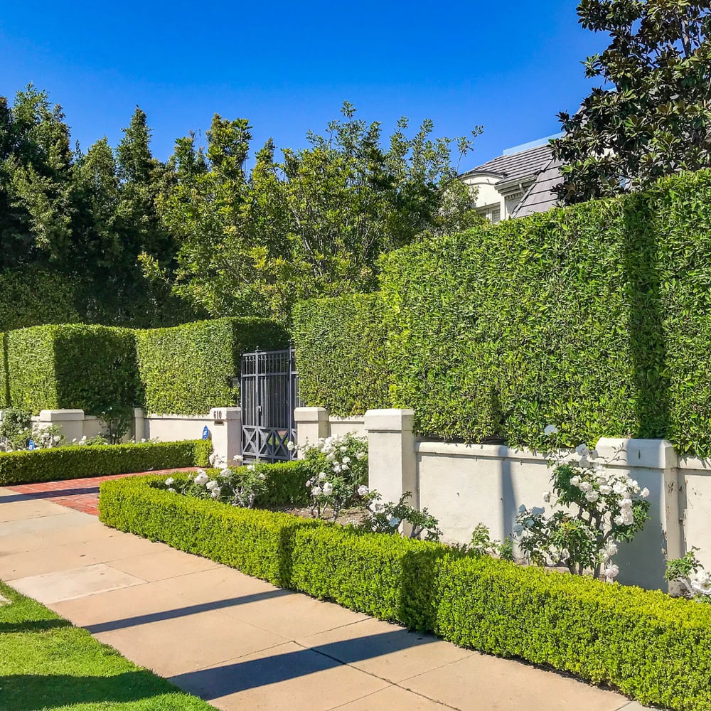 Top 5 Reasons To Have A Living Fence