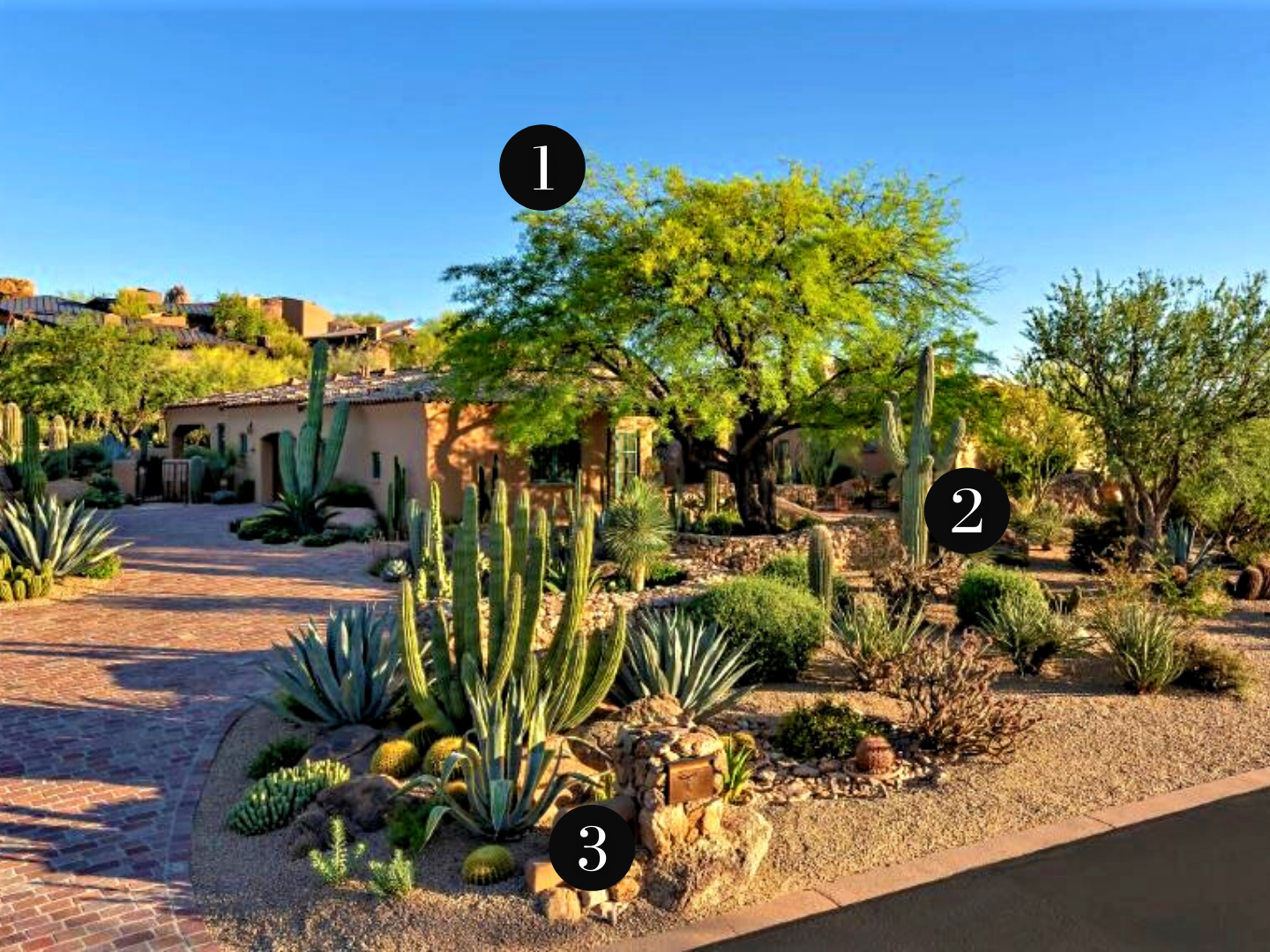 THE NEXT BIG THING IN LANDSCAPE DESIGN: LAYERING