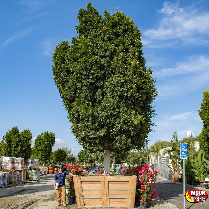 March Landscape Tips That We Can Use For the Garden Too!