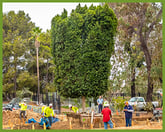 October Landscape & Garden Tips