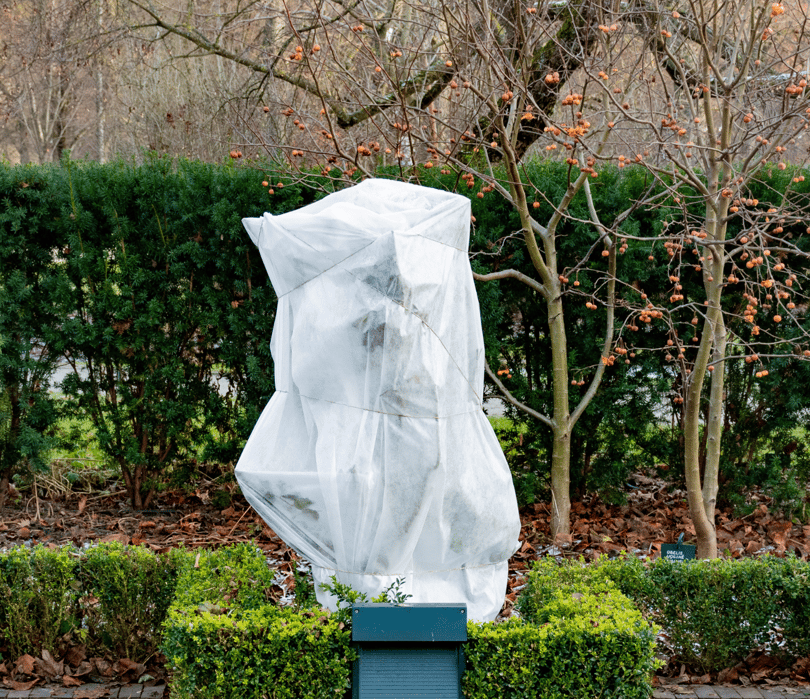 Frost Proofing Tips From The Professionals