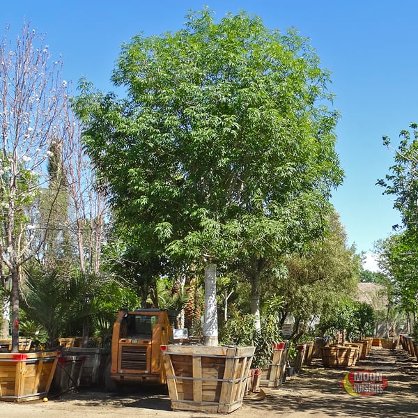 Spring Planting Season Starts Now!