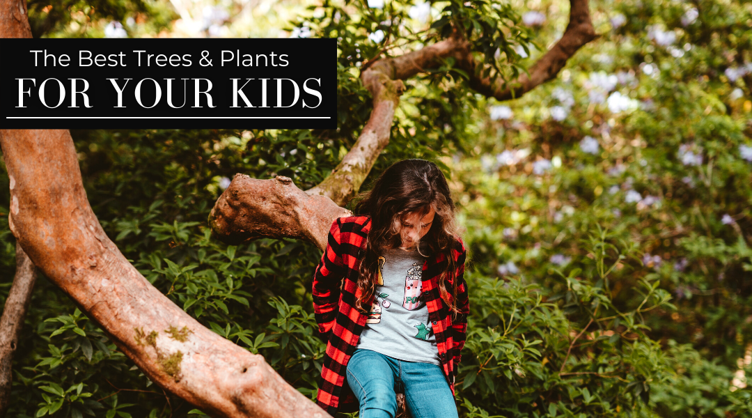 THE BEST TREES & PLANTS FOR YOUR KIDS