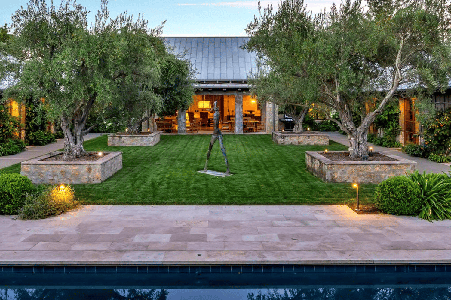 The Olive Tree: A Hardy Evergreen Tree for Shade & Classic Style