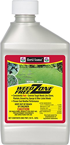 Your Guide to a Weed Free Yard!