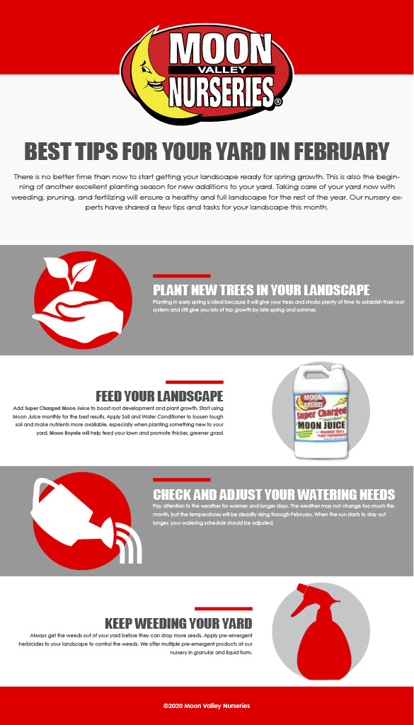 February Landscape & Garden Tips [Archive]