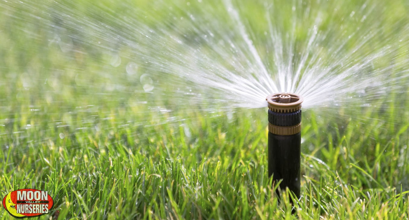 Think before you Irrigate!