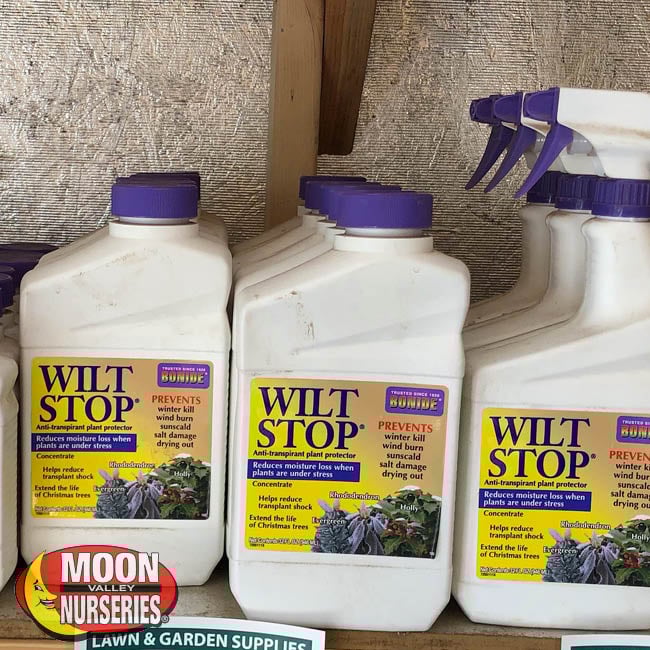 Protecting Your Landscape from Freezing Winter Temperatures