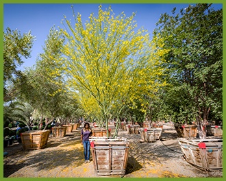 July Landscape & Garden Tips