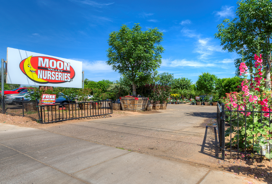 25 years of Moon Valley Nurseries and How We Got Started