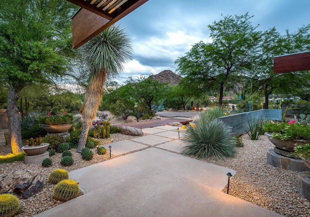 Picking the Perfect Tree