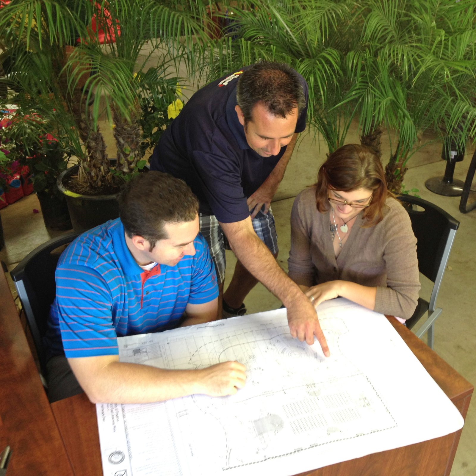 Plant Now for Summer Shade