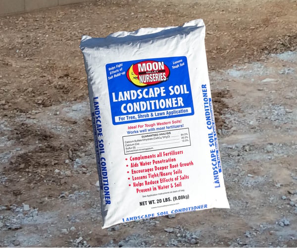 The Importance of Fertilizing Your Trees in The Summer