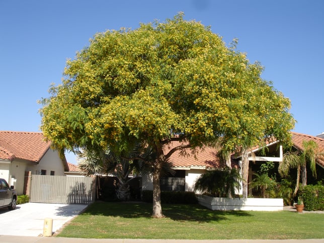 March Landscape Tips That We Can Use For the Garden Too!